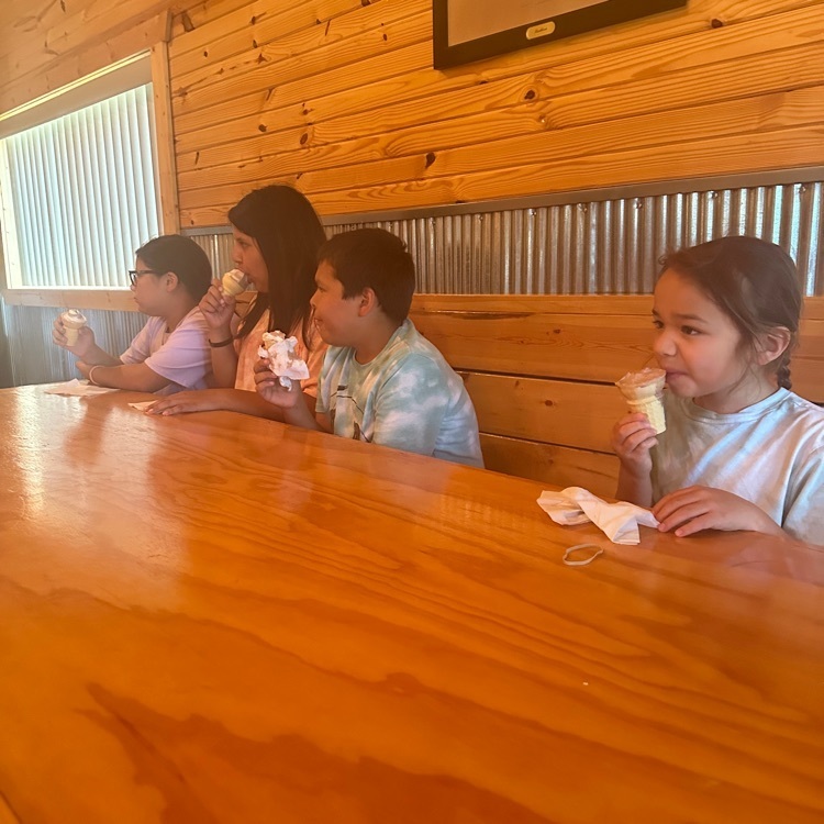 Live Feed | Zion Public School