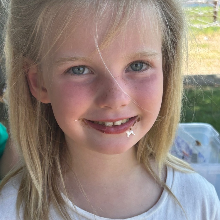 Live Feed | Zion Public School